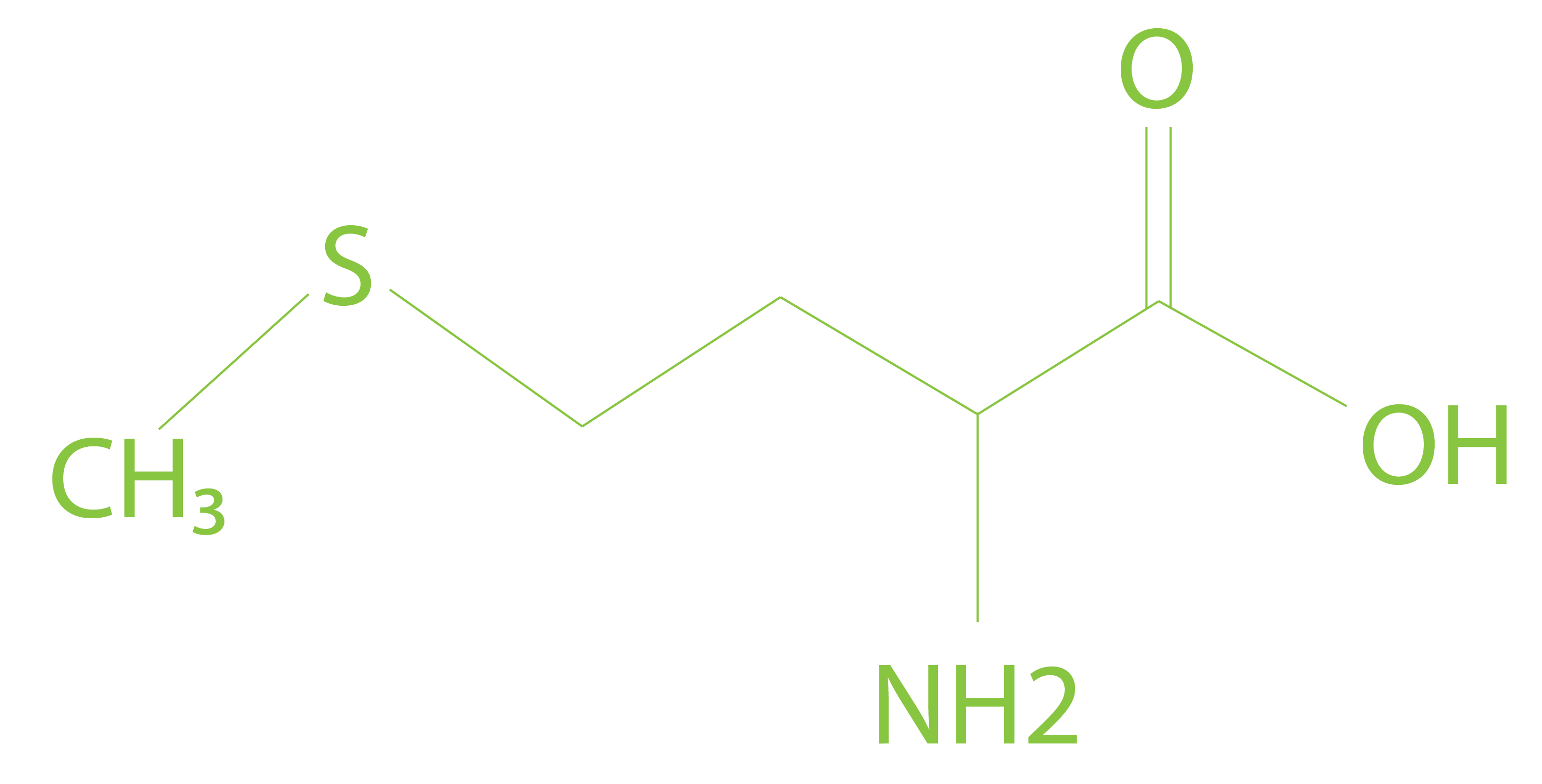 Introduction to proteins in molecular biology | GoldBio