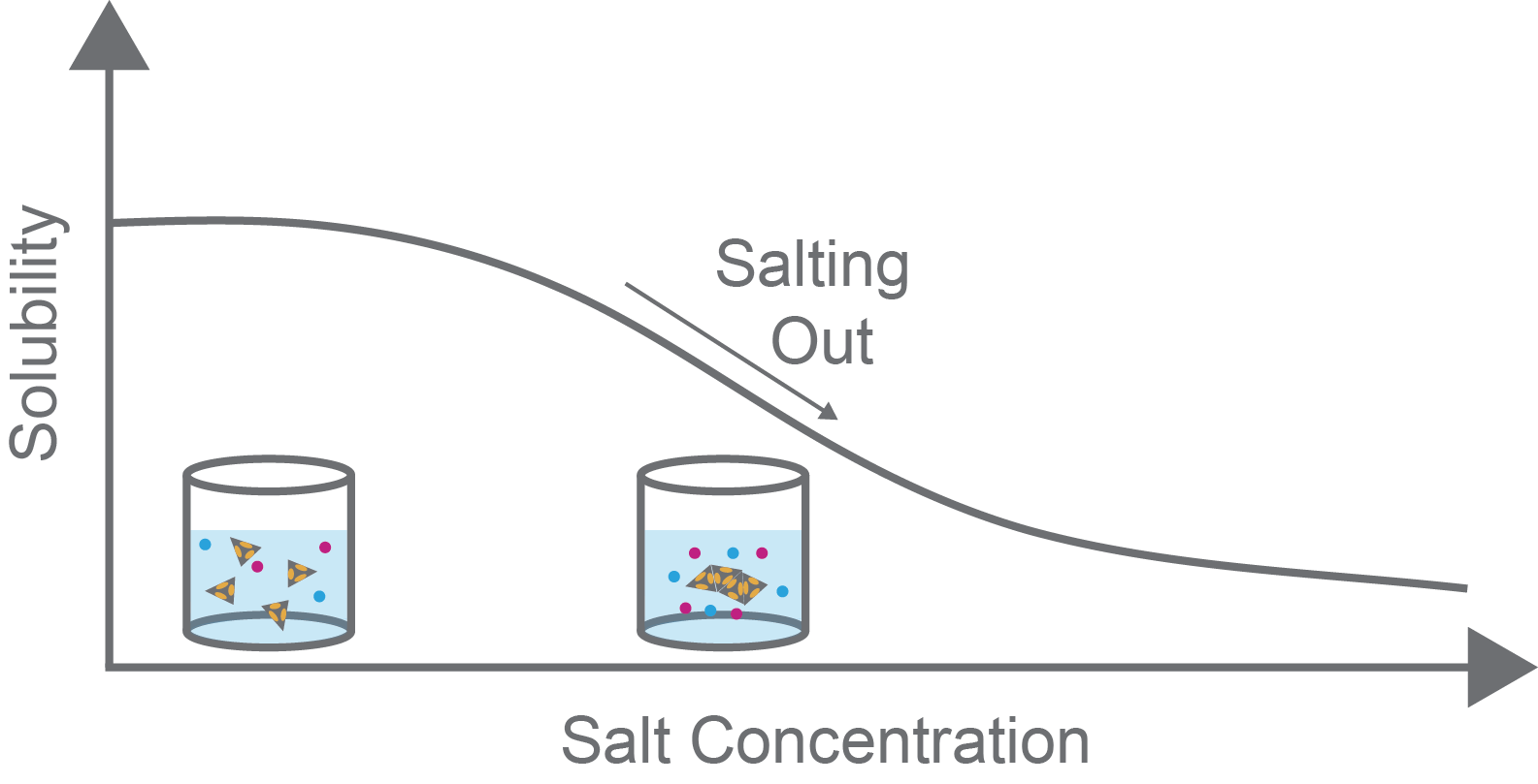 Understanding Salting In and Salting Out: Salt as a Protein ...