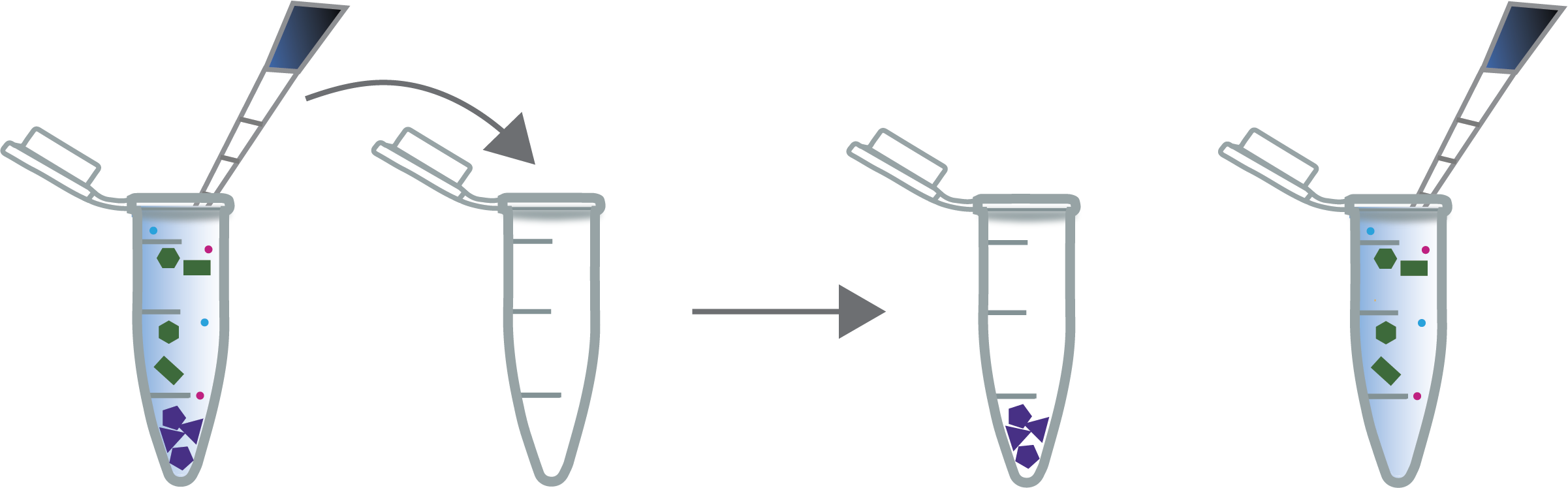 Understanding Salting In and Salting Out: Salt as a Protein ...