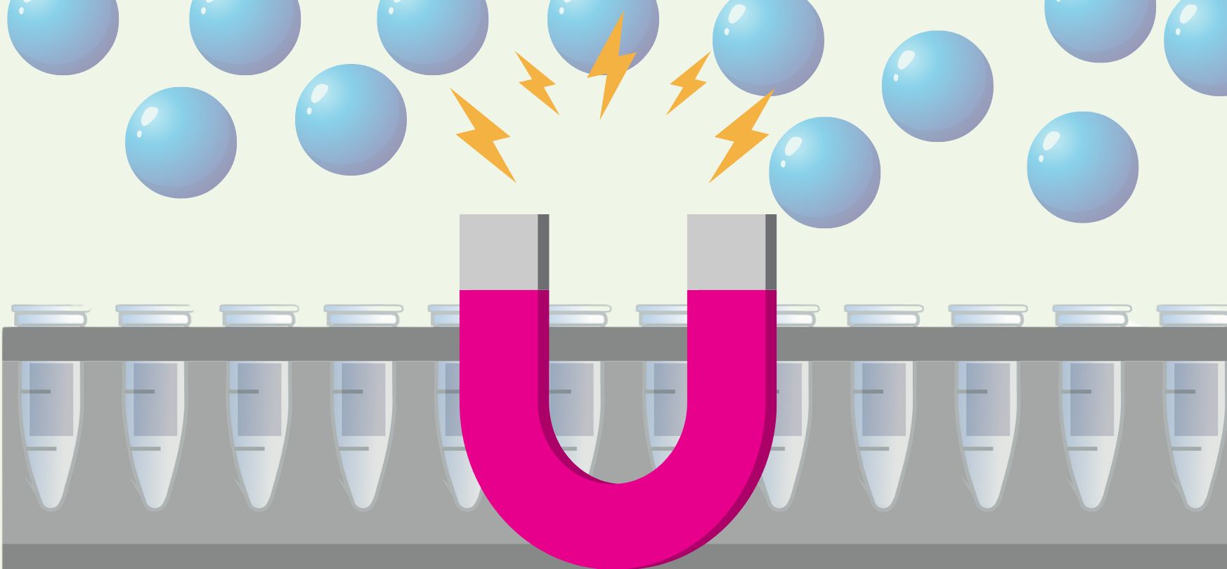 Regular vs Magnetic Agarose Beads: Key Differences and Best Uses | GoldBio
