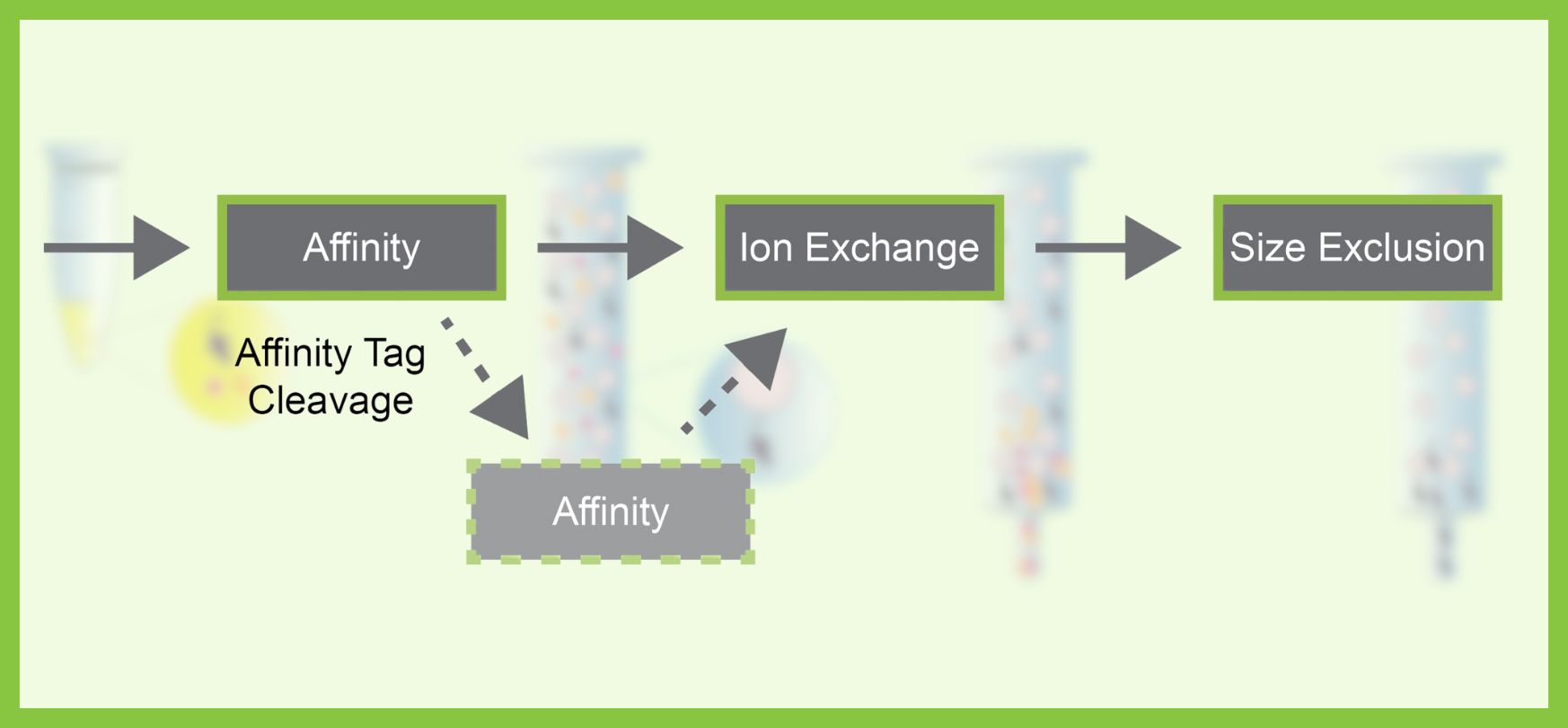 The 2 Common Types of Ion Exchange Chromatography: Anion vs. Cation ...