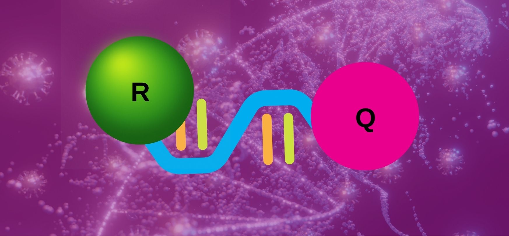 Overview: Types of PCR Probes | GoldBio