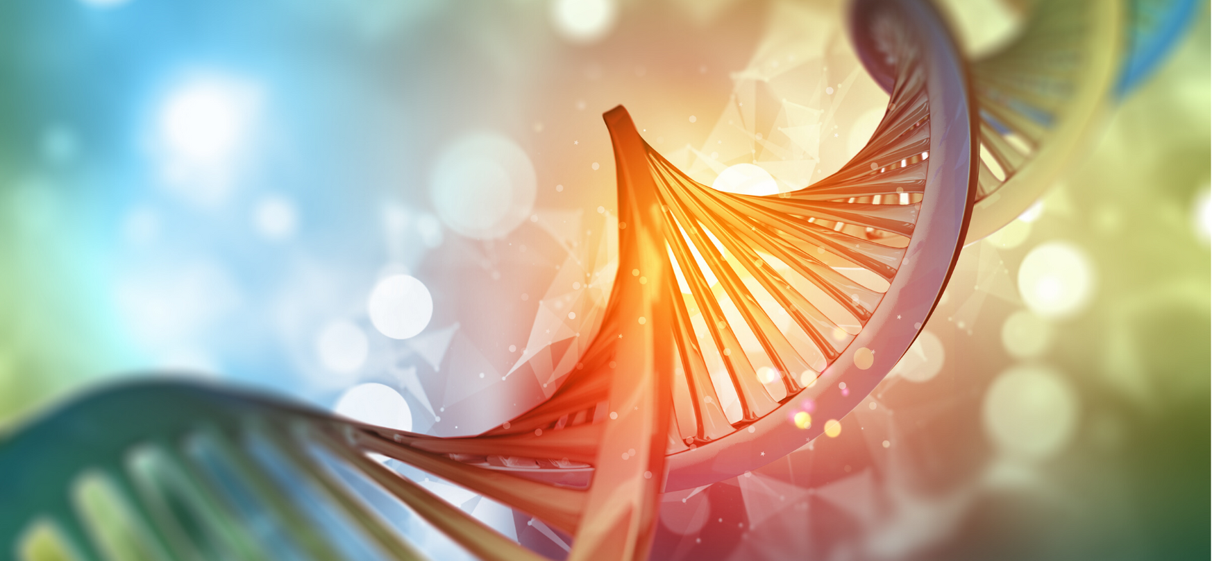 Overview of T4 DNA Ligase: What it is, how it works, reactions, and ...