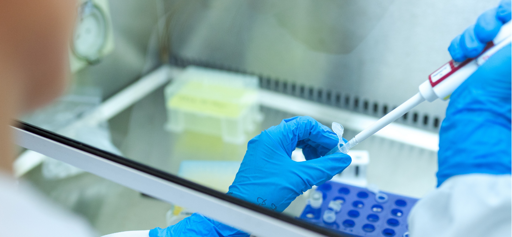 Illumination™ Firefly Luciferase Enhanced Assay Kit | GoldBio