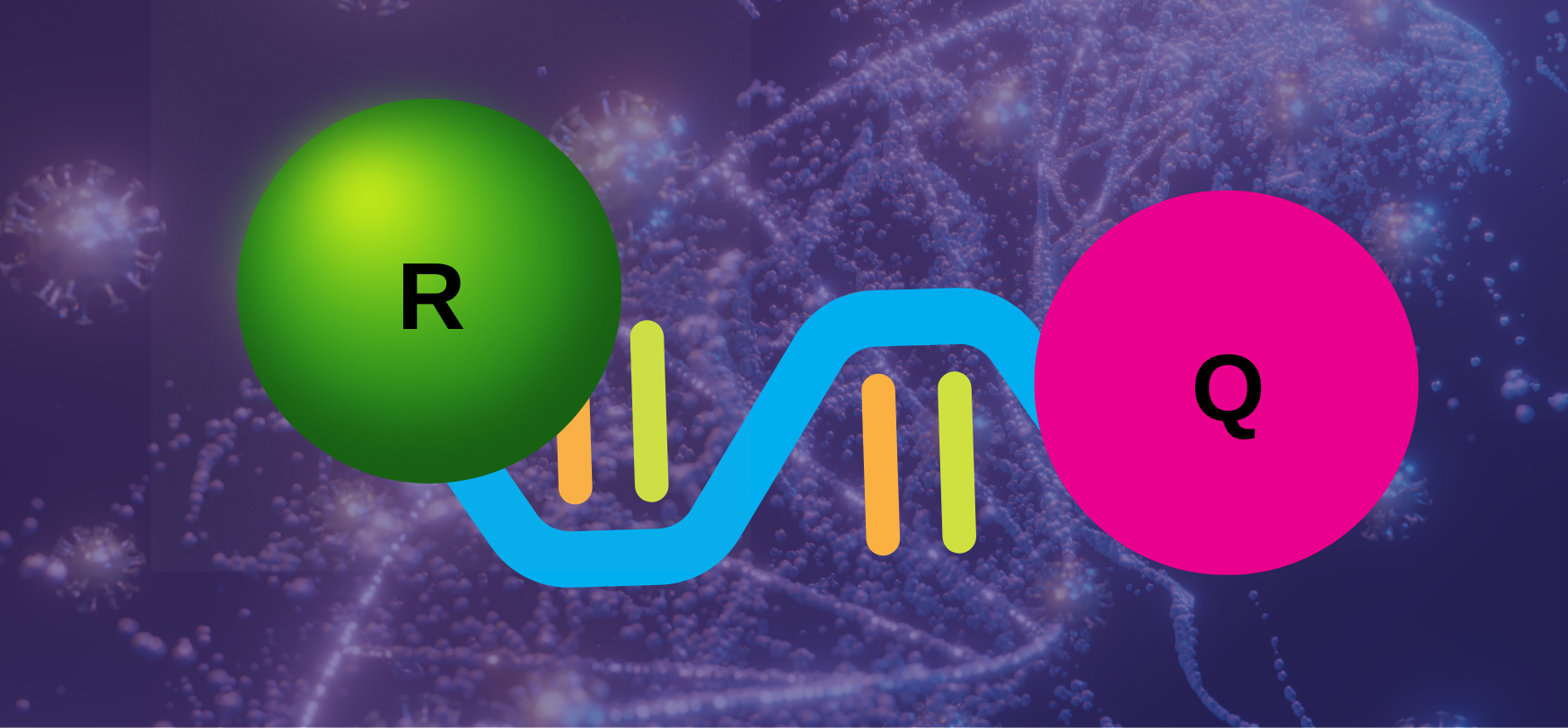 All about Probe-Based Real-Time qPCR Assays | GoldBio