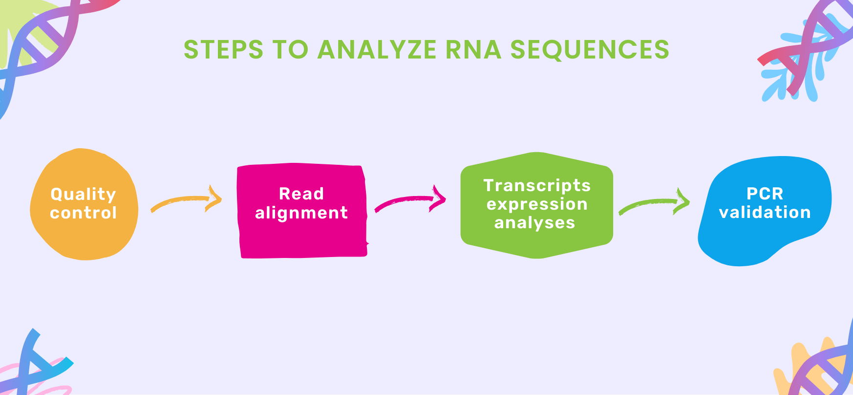 An Overview On RNA Sequence Analysis | GoldBio