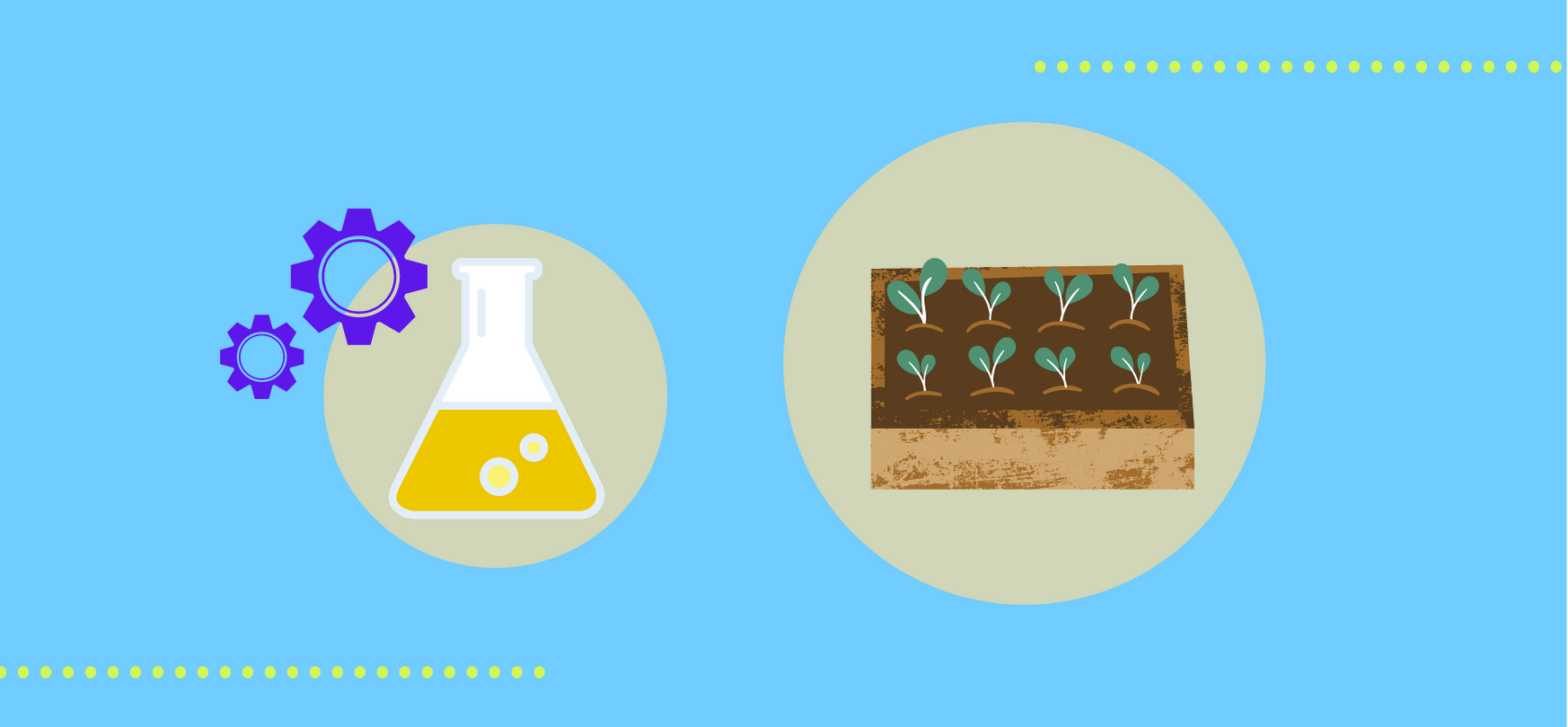 All About Plant Explants and Calli – A Quick Overview | GoldBio